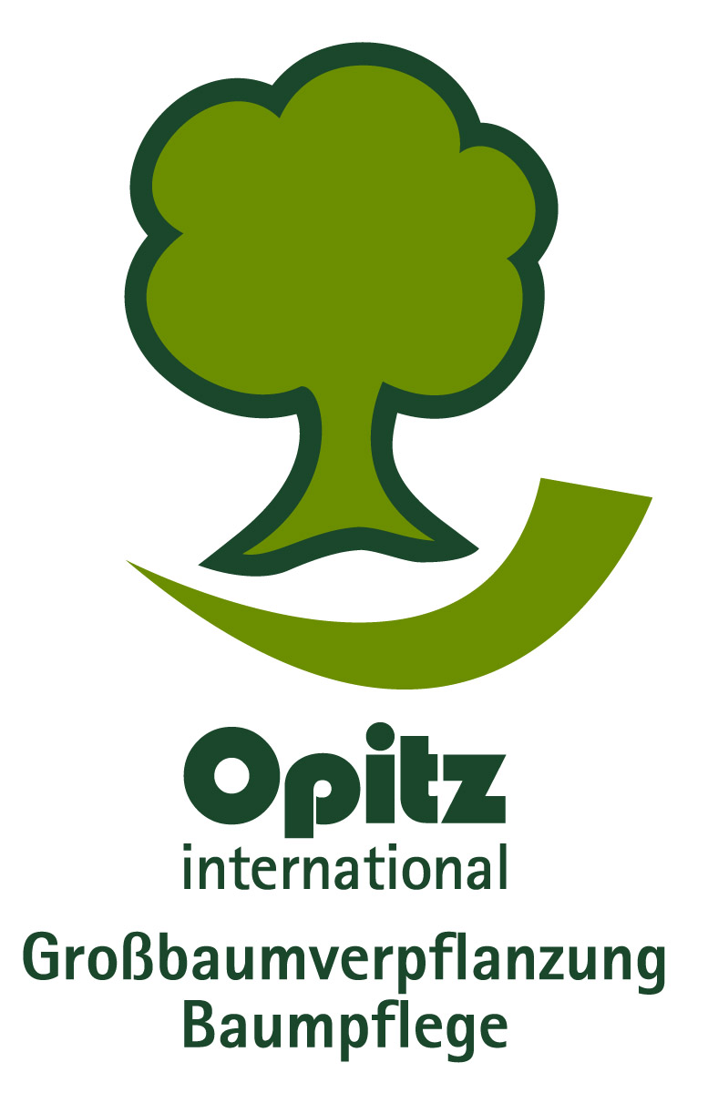 Großbaumverpflanzung: Opitz feiert 50. Firmenjubiläum | Bauhof-online.de