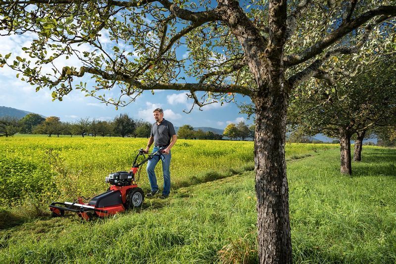 Herkules Wiesenmäher für die extensive Rasenpflege | Bauhof-online.de